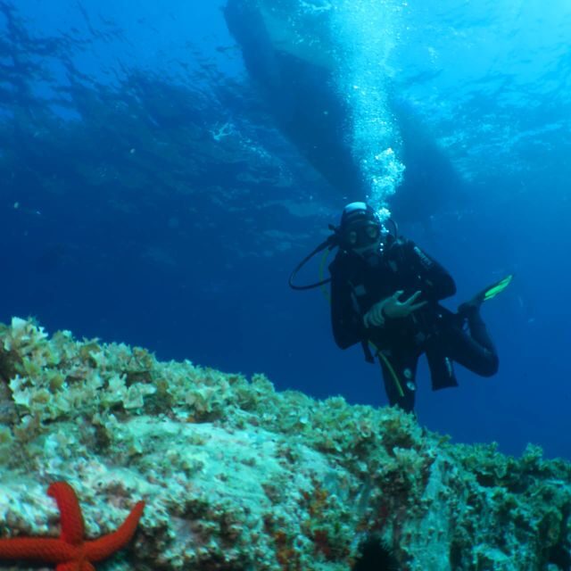 From Lerici: Scuba Diving Lessons and Dive in Portovenere - Who Should Consider This Experience?
