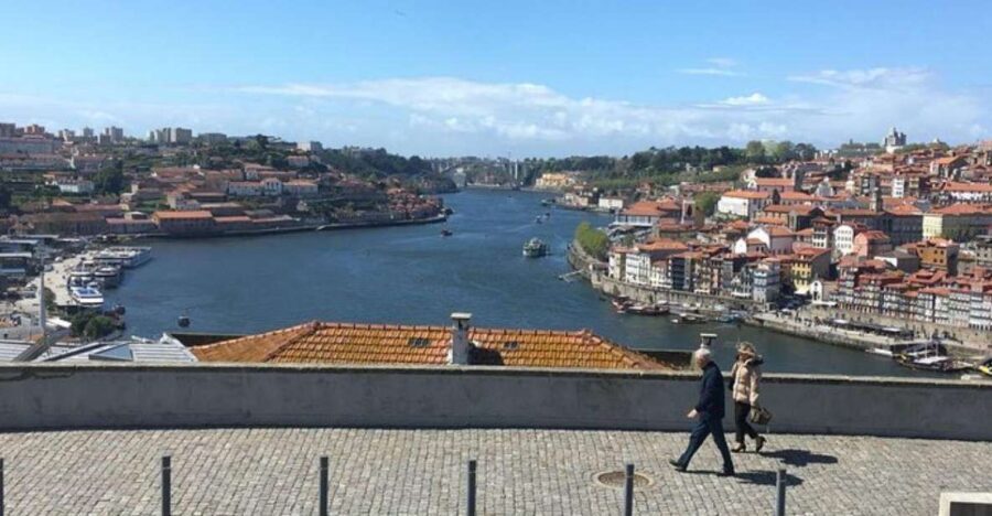 From Lisbon: Douro Valley and Porto Town Experience - The Journey Begins: From Lisbon to the North