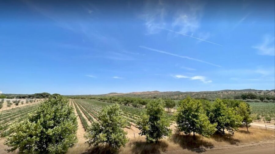 From Lisbon: Évora, Cathedral, Bones Chapel & Wine Tasting - What Makes This Tour Stand Out?