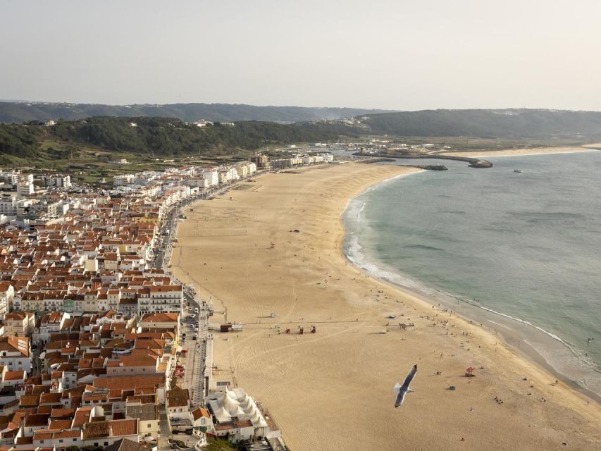 From Lisbon: Fátima, Nazaré and Sintra Guided Tour - Who Will Love This Tour?