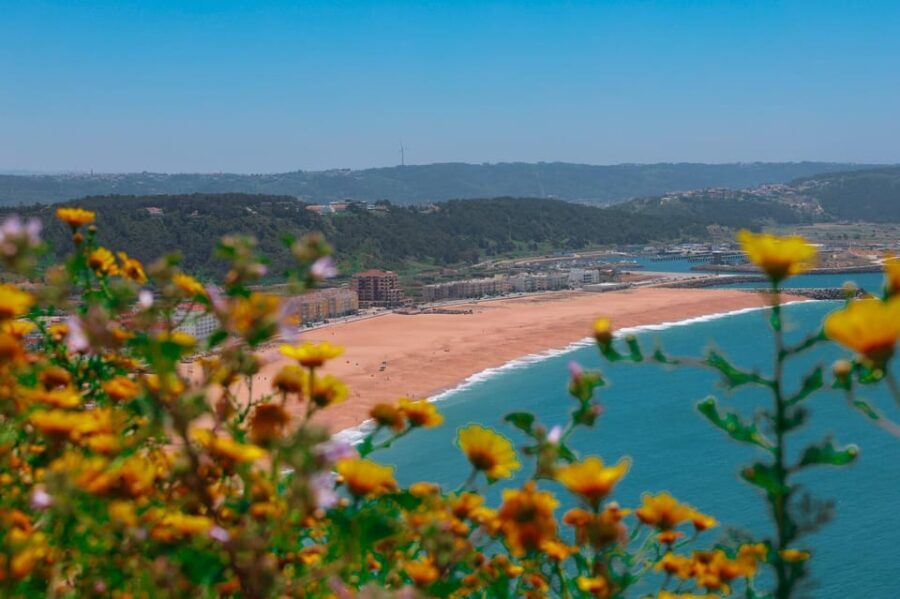 From Lisbon: Fátima, Nazaré & Sintra  3 Cities Guided Tour - Who Would Enjoy This Tour?