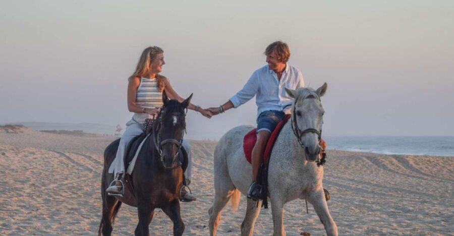 From Lisbon: Horseback Riding on Comporta Beach - The Ride: From Forest Trails to the Atlantic Shore