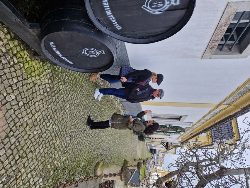 From Lisbon: Private Day Trip to Sintra with Guide - The Practical Aspects and Value