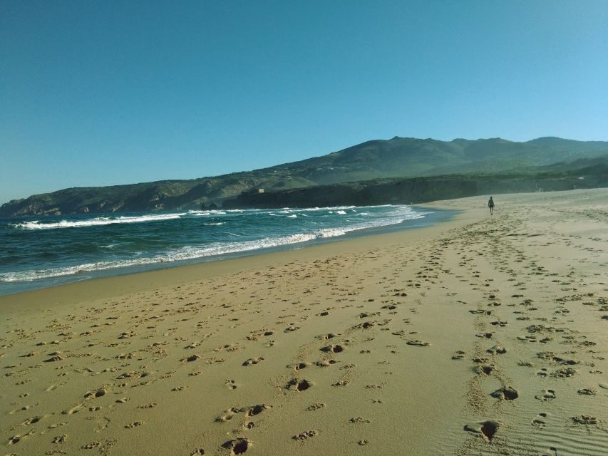 From Lisbon: Sintra and Cascais Natural Park Private Tour - The Transport and Guide Experience