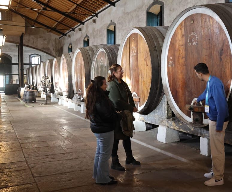 From Lisbon: Sintra, Pena Palace, Cascais and Wine Tasting - Practical Details & Value