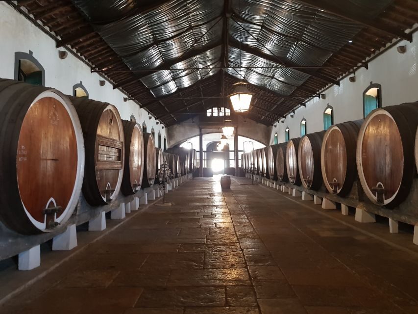 From Lisbon: Sintra Wine Experience - What’s Included and What’s Not