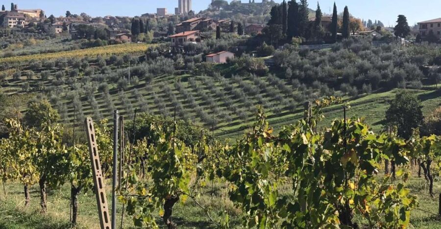From Livorno: Shore Excursion to Chianti and San Gimignano - Pricing and Value