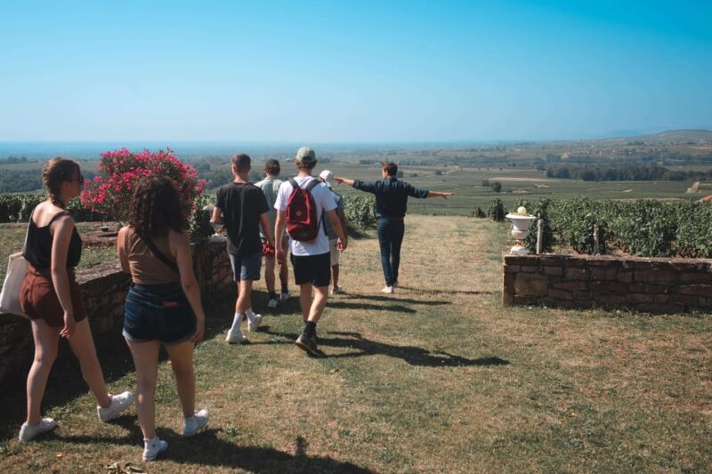 From Lyon : Beaujolais Private Day Tour by Vintage Defender - Key Points
