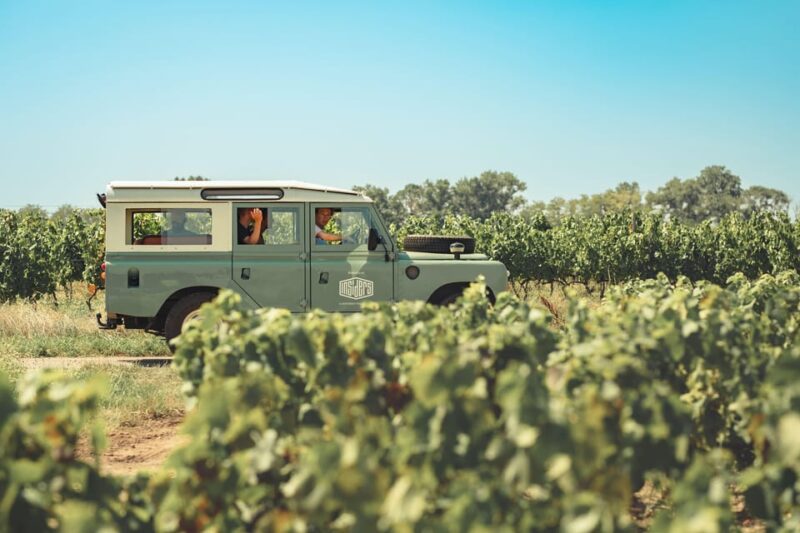 From Lyon: Burgundy Private Half Day Tour by Defender - What Makes This Tour Stand Out?
