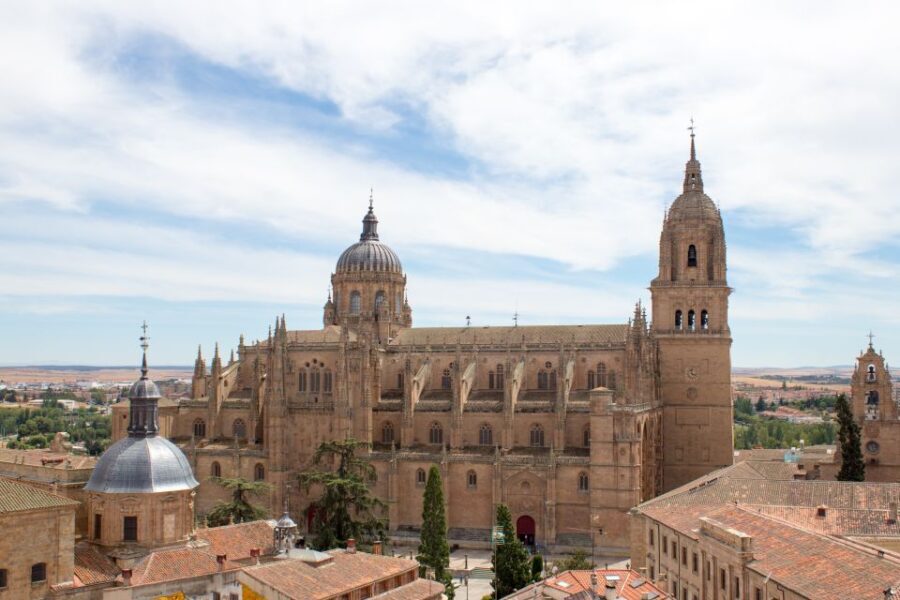 From Madrid: Avila and Salamanca Private Tour - Breakdown of the Itinerary
