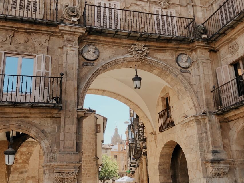 From Madrid: Day Trip to Salamanca with Private Tour - Deep Dive into the Experience