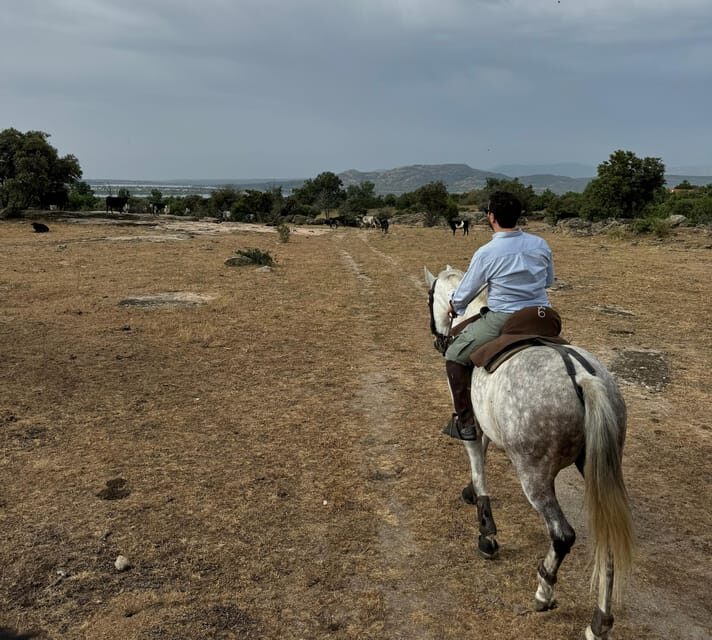 From Madrid: Horseback riding Experience - What’s Included and What’s Not