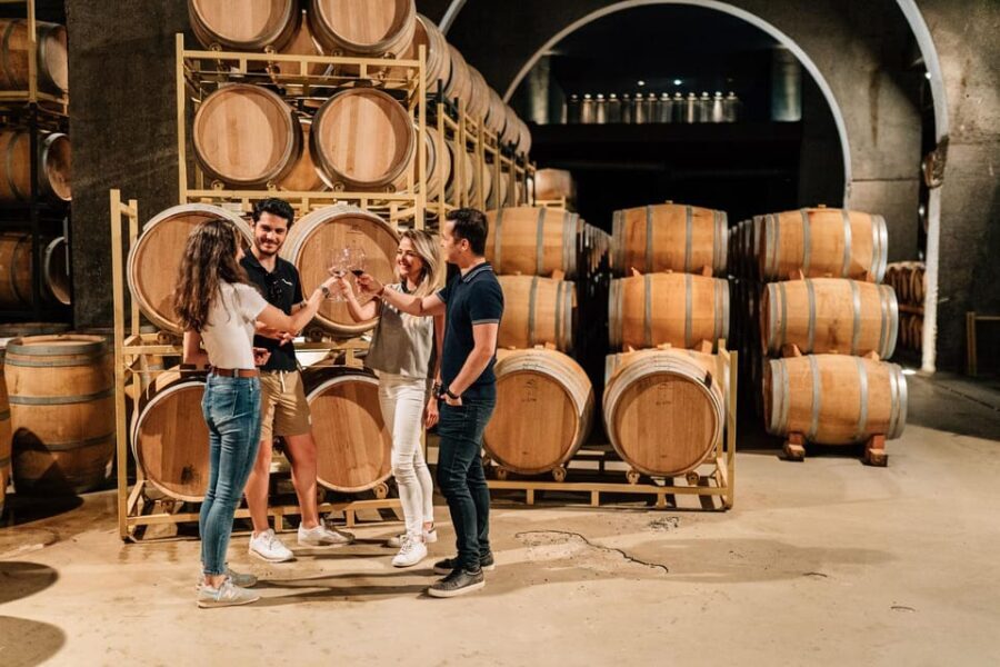 From Madrid: Ribera del Duero Winery and Segovia Tour - An Authentic Sip of Spain’s Wine Heritage