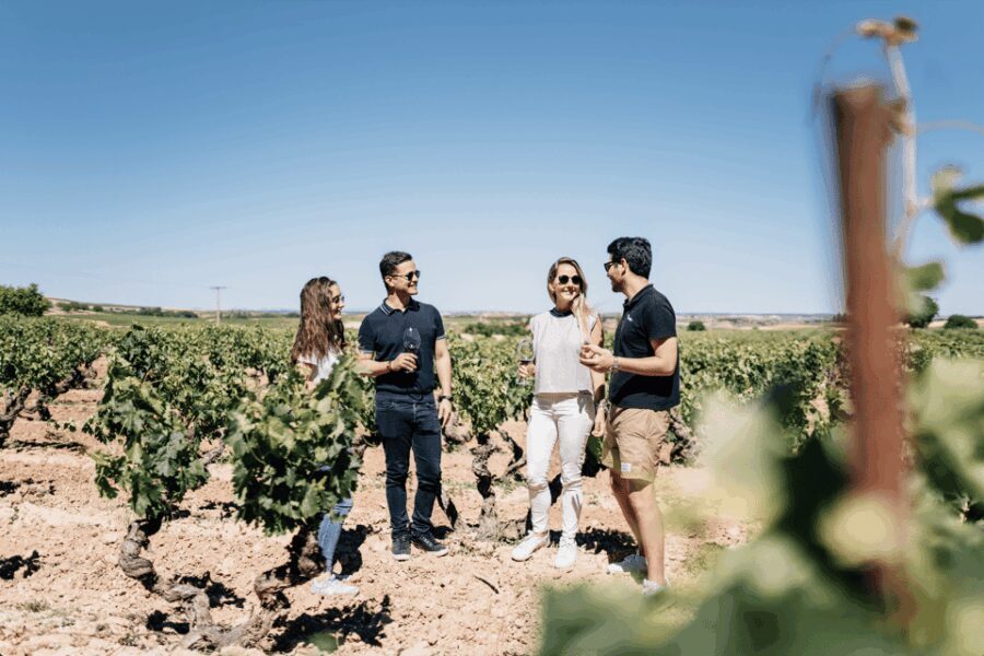From Madrid: Traditional Villages, Winery Tour & Tapas Lunch - Who Will Enjoy This Tour?