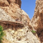 From Málaga: Caminito del Rey Day Trip & Guided Tour - The Itinerary in Detail
