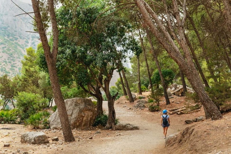 From Málaga & Costa del Sol: Caminito del Rey Guided Tour - Walking the Path of Legends
