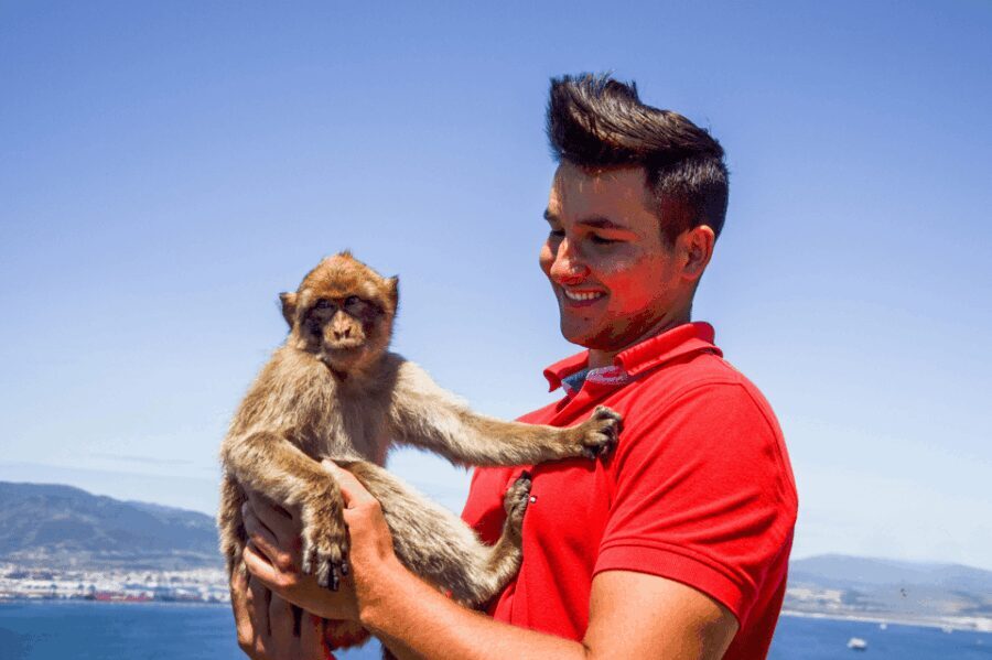 From Malaga: Full-Day Trip to Gibraltar