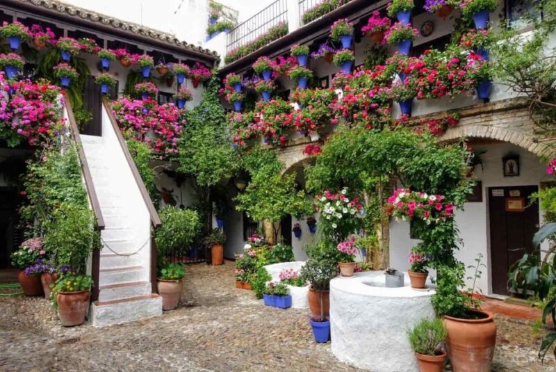 From Malaga: Private day trip to Cordoba, Mosque & Cathedral - Key Points