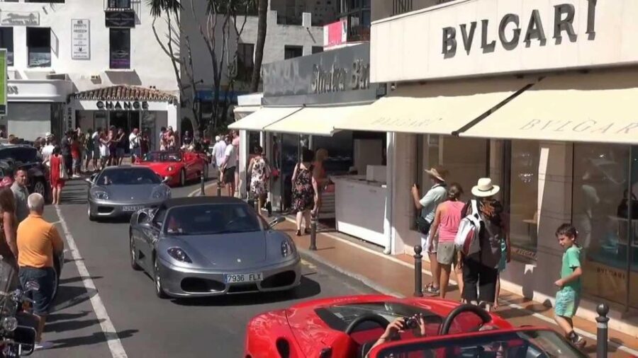 From Malaga: Private guided tour of Marbella, Mijas, Banús - The Practical Side: Transport, Timing, and Flexibility