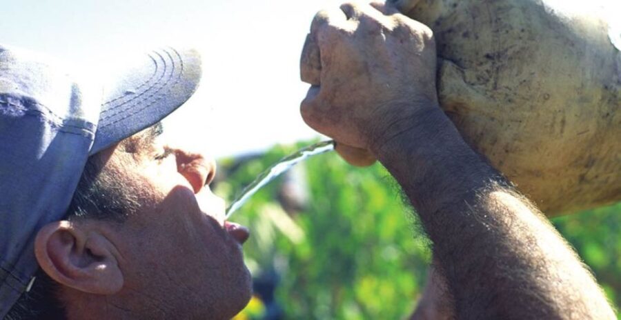 From Marbella: Axarquia Wine Tour with Wine Pairing Lunch - The Sum Up