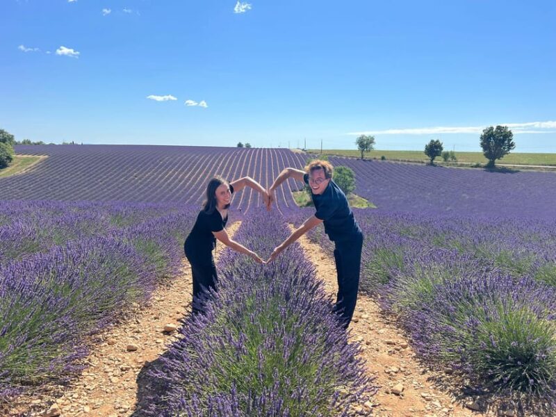 From Marseille Cruise Port : Valensole Lavender - Key Points