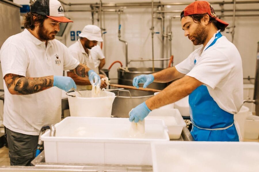 From Matera: Altamura Cheese and Pastry Tasting Day Trip - Practical Details: What to Expect