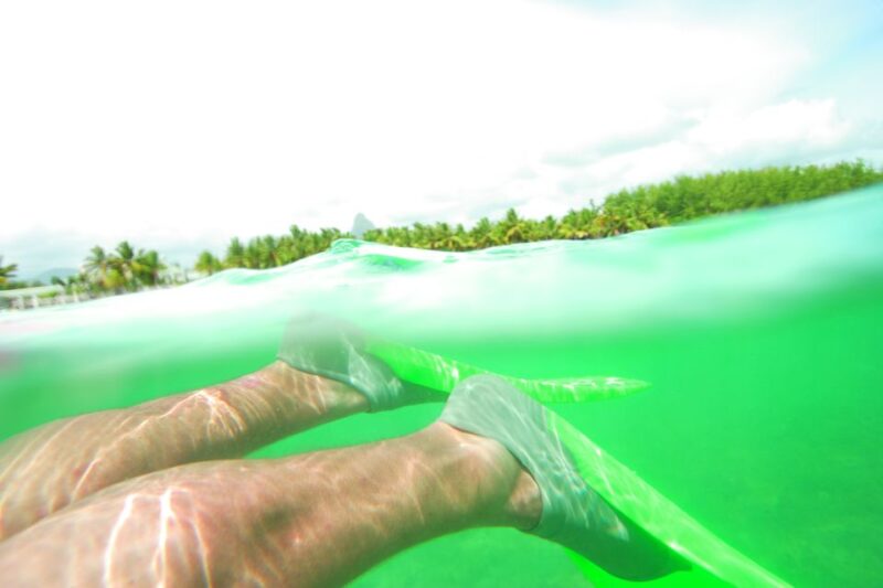 From Miami: Key West with Dolphin Watch or Snorkel Boat - Key Points