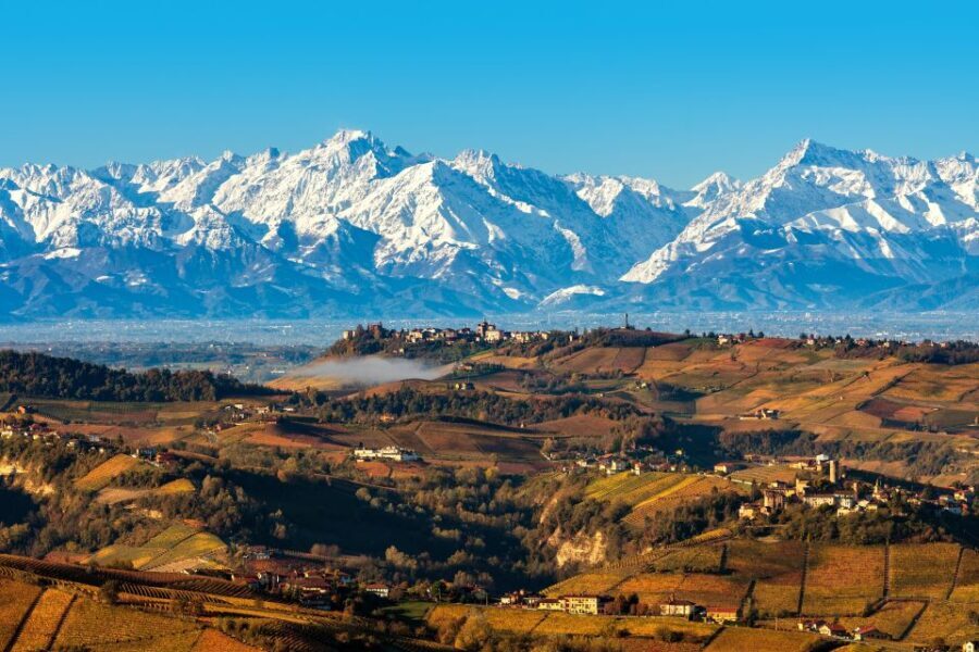 From Milan: Barolo Wine Tasting, Alba Tour and Castle Visit - The Wine Tasting
