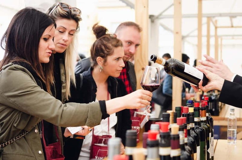From Milan: Langhe Wine Region Day Trip with Barolo Tasting - The Winemaking Experience
