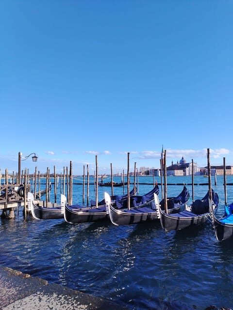 From Milan: Venice City Highlights Guided Day Trip - Practicalities: What You Need to Know