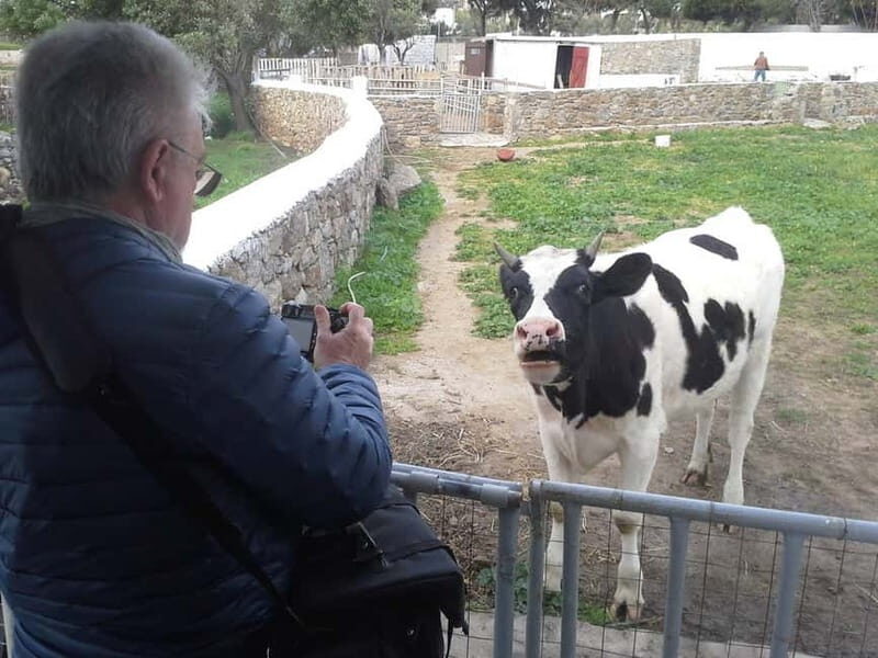 From Mykonos: Ano Mera Farm Tour - The Value of the Experience