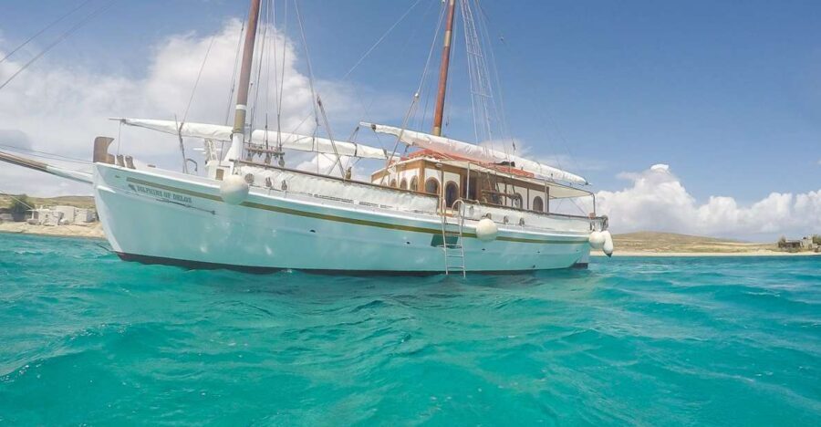 From Mykonos: Delos & Rhenia Islands Half-Day Trip by Boat - Rhenia Island: Beaches and Swimming