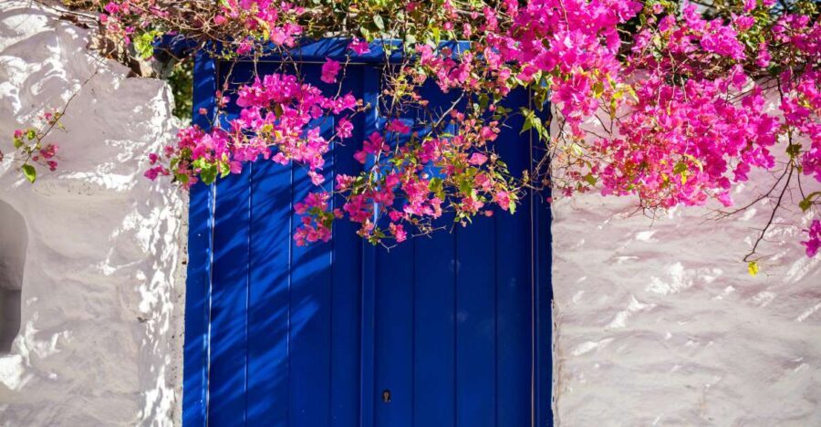 From Mykonos Town: Guided Sightseeing Tour with Windmills - Authentic Experiences and Authentic Insights