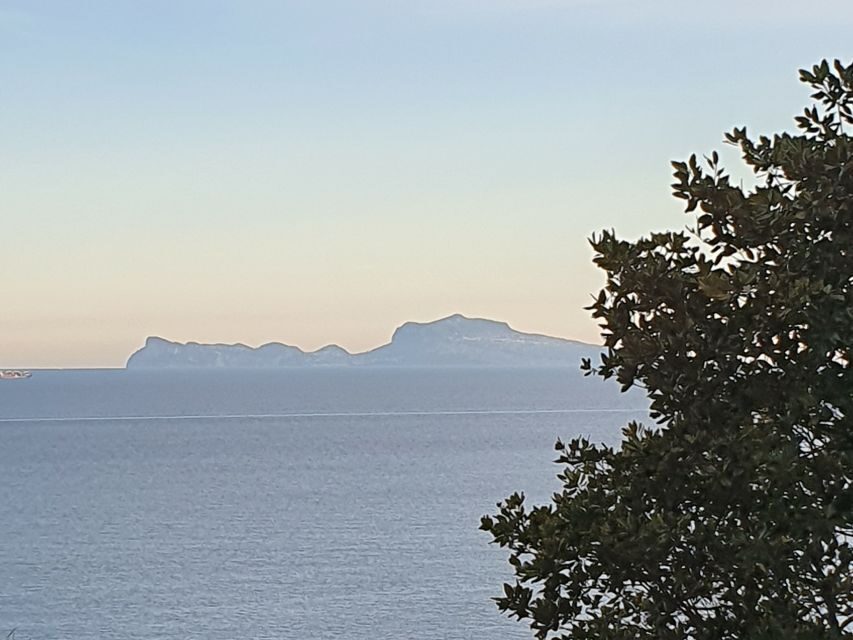 From Naples: Capri Day Trip with Lunch - FAQs