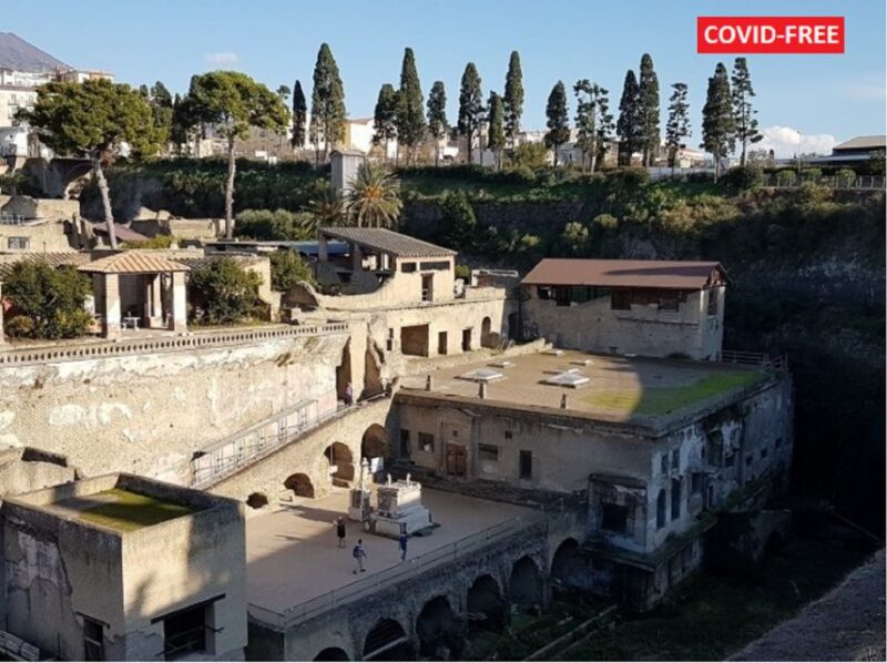From Naples: Day Trip to Herculaneum with skip the line - Introduction