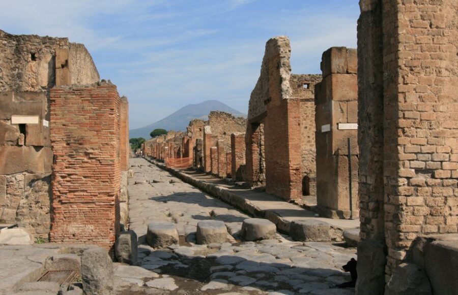 From Naples: Day Trip to Pompeii with skip the line - Why Choose This Tour?