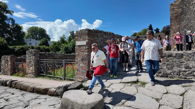 From Naples: Guided Walking Tour of Pompeii with entrance ticket and train - Exploring Pompeii: What to Expect