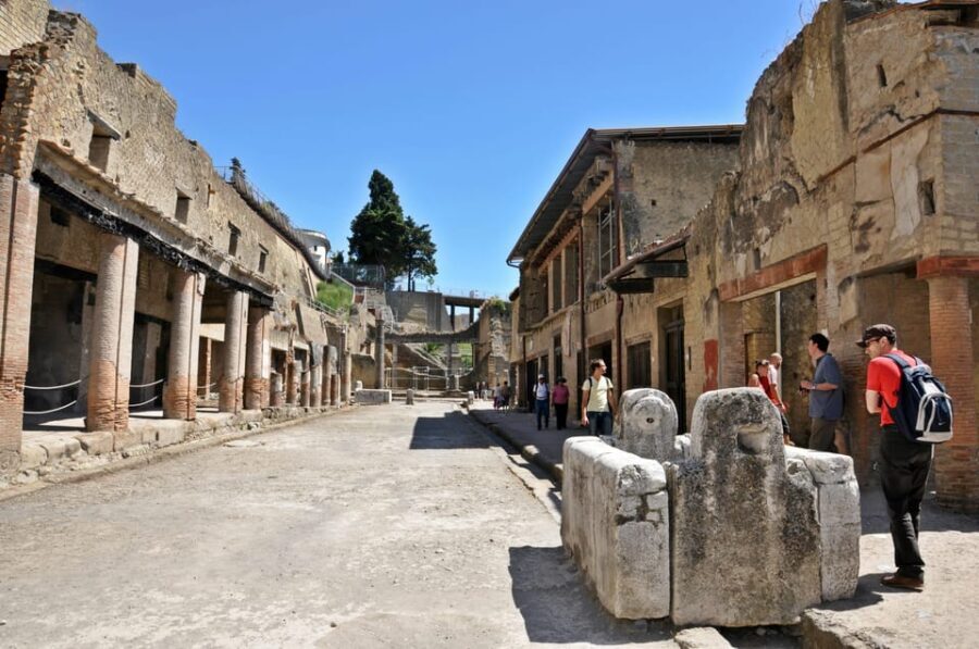 From Naples: Half-Day Herculaneum Tour with Lunch - What to Expect on This Tour