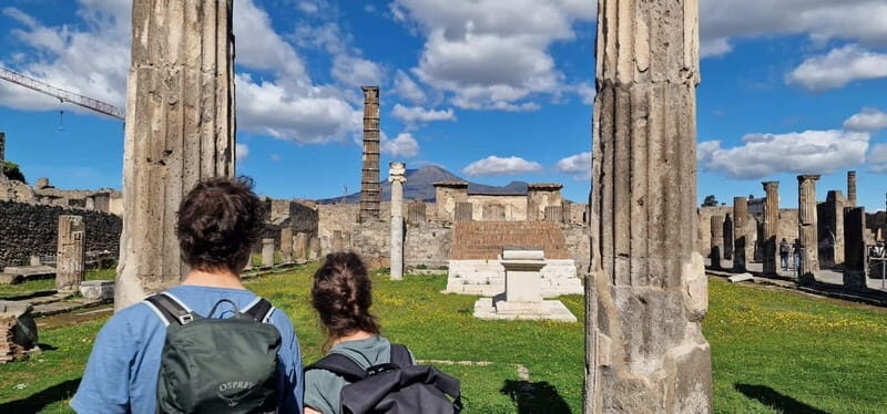 From Naples: Pompeii Private Tour with Transfer and Guide - The Value of the Price