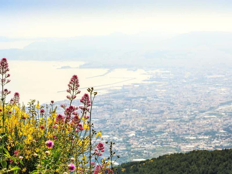 From Naples Port: Pompeii and Mt. Vesuvius Day Trip - Climbing Mount Vesuvius: The View and the Crater