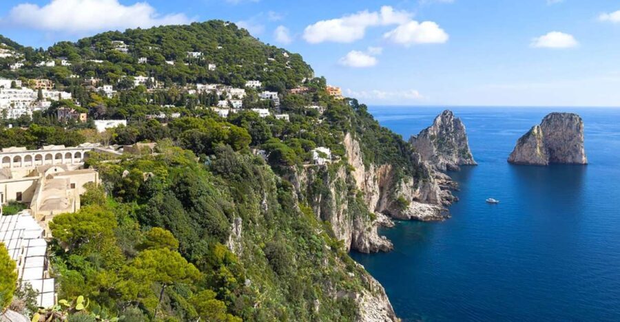 from Naples: Small-Group Boat Excursion to Capri Island - Who will love this tour?