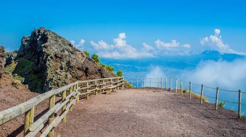 From Naples: Vesuvius and Herculaneum Day Trip with Tickets - Who Should Consider This Tour?