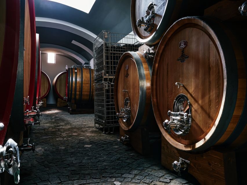 From Naples: Wine Tasting Tour on Vesuvius Slopes with Lunch - Practical Tips for Travelers