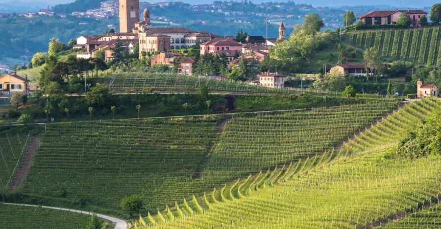 From Neive: Guided E-Bike Tour to Barbaresco and Treiso
