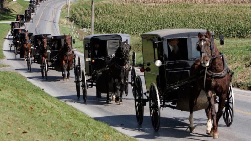 From New York City: Philadelphia & Amish Community Day Trip - Key Points