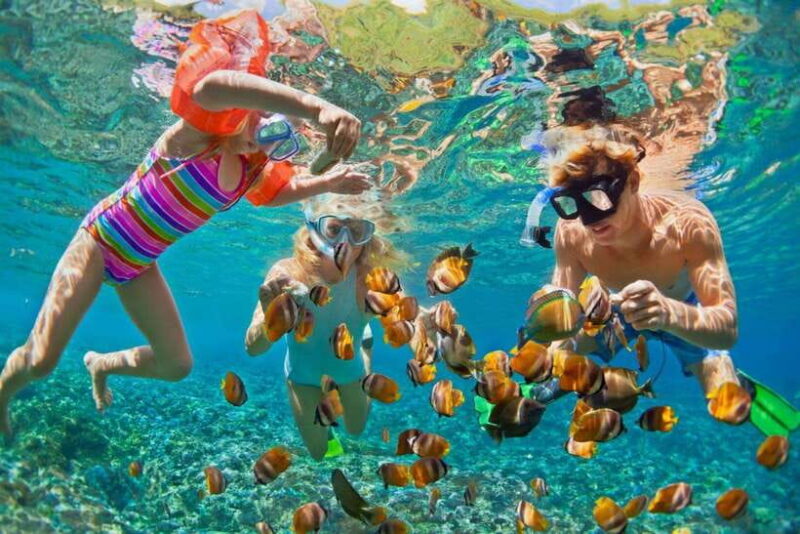 From Nha Trang: Snorkeling, BBQ and Mud Bath Day Trip - Key Points