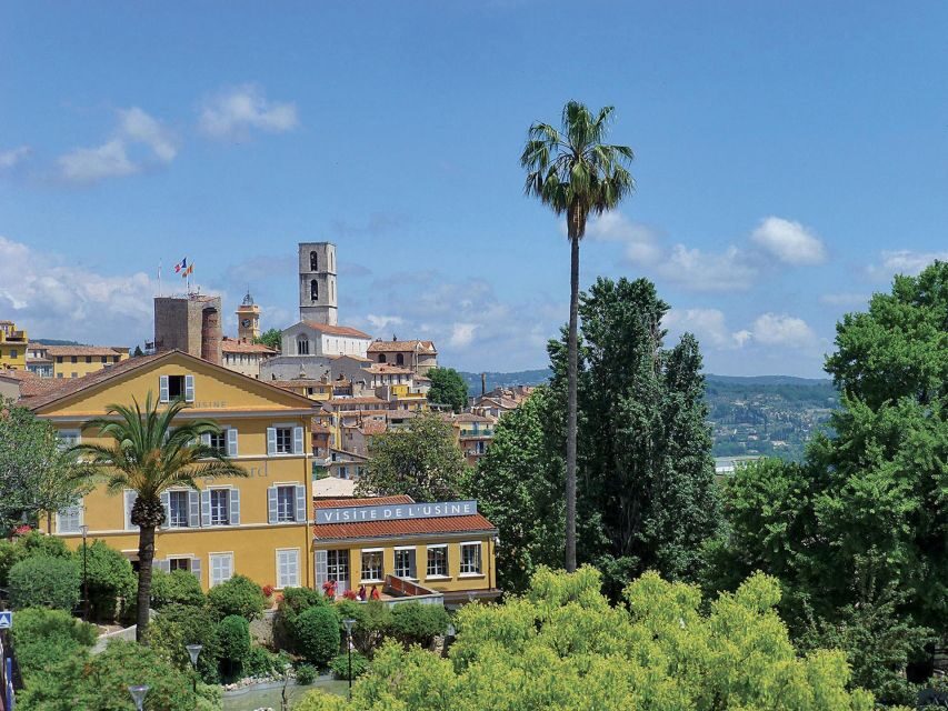 From Nice : Gourdon, St-Paul de Vence, Tourettes & Grasse - What the Reviews Say