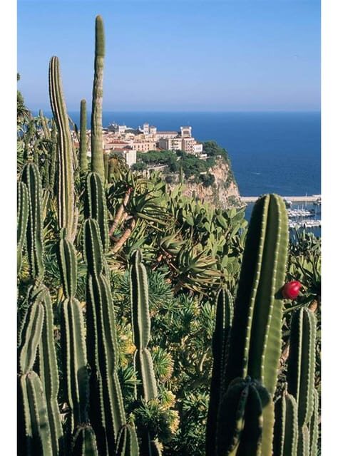 From Nice: Monaco, Monte Carlo & Eze Full-Day Tour - The Sum Up