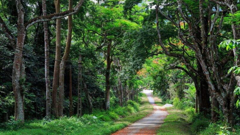 From Ninh Binh: Cuc Phuong National Park 1-Day Small Group - Introduction