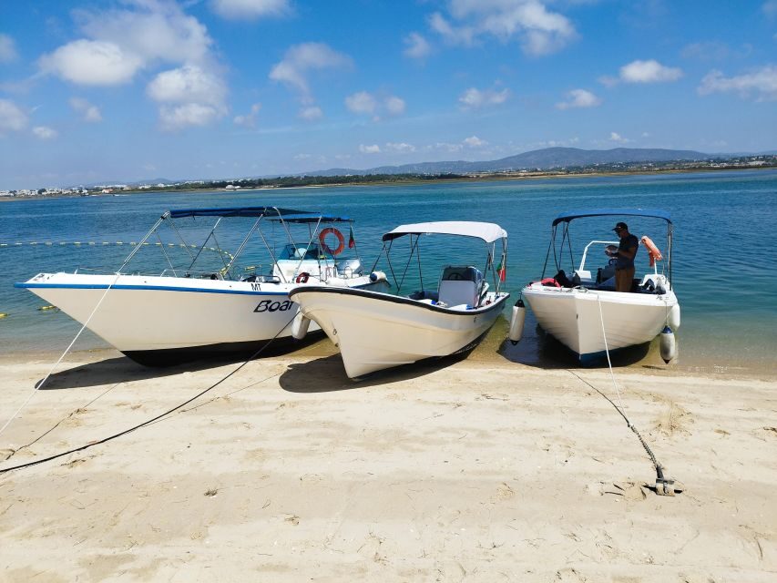 From Olhão: Ria Formosa 3-Island Full-Day Tour with Sunset - Itinerary Breakdown: What to Expect